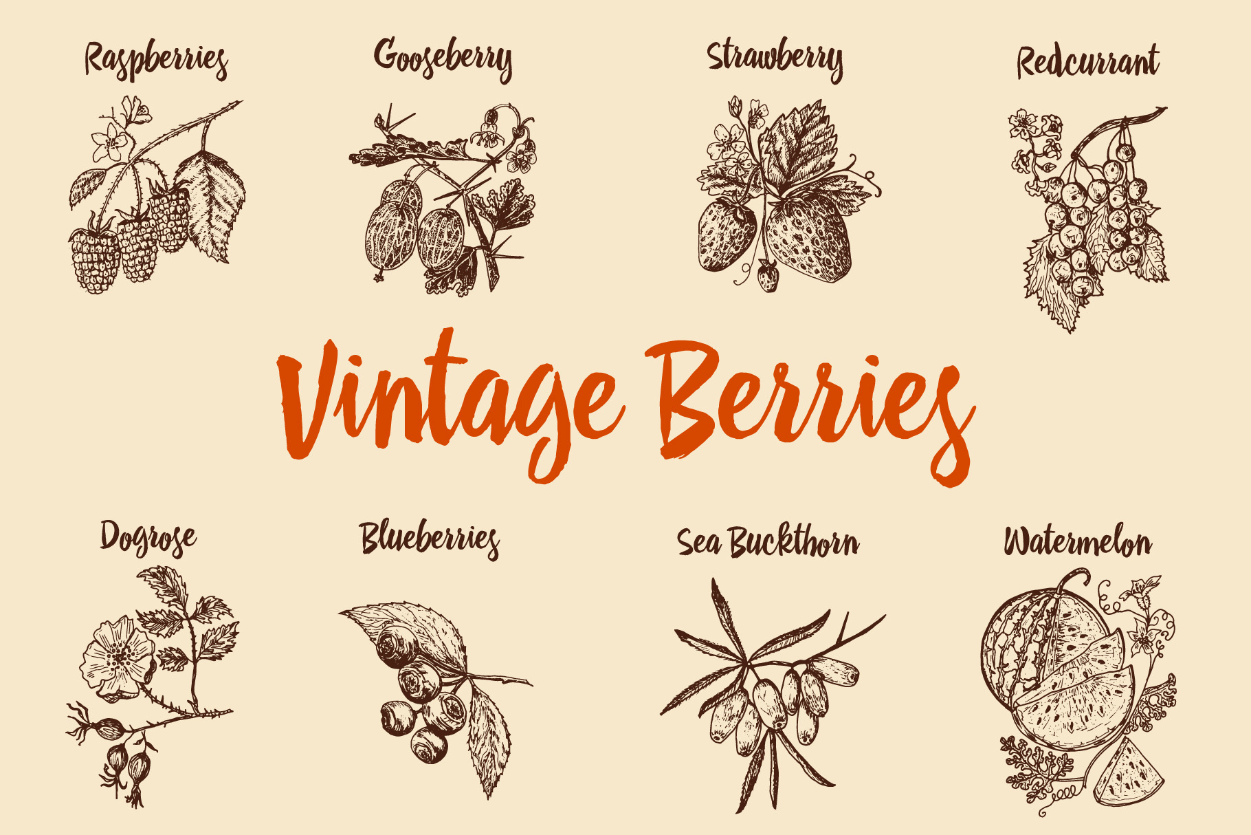 Set berries. Vintage style., a Food Illustration by Arthur Balitskiy