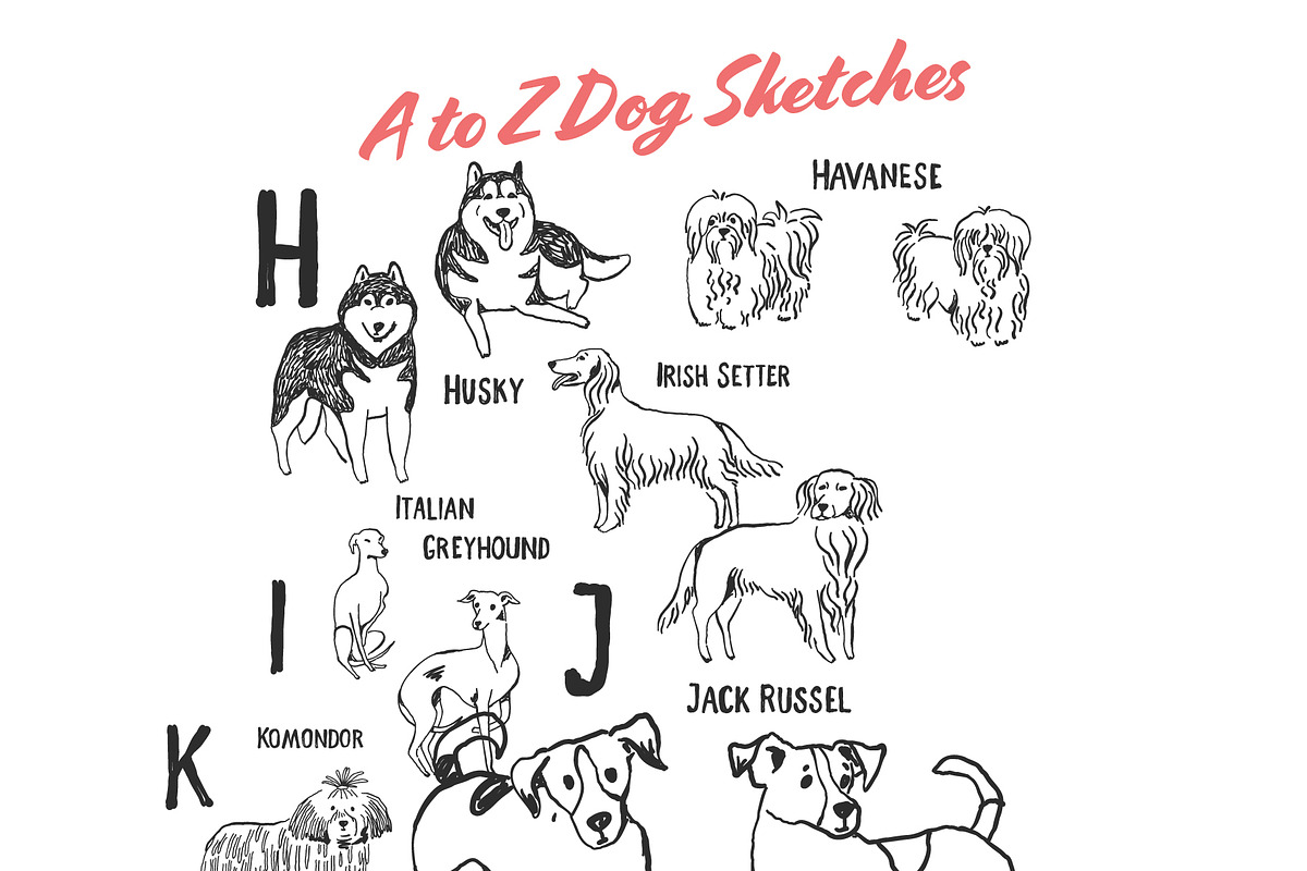 Whimsical Dog Alphabet, an Animal Illustration by Anastasiya Klempach