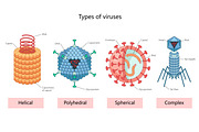 Different Virus Types diagram, a Healthcare Illustration by AlexArt
