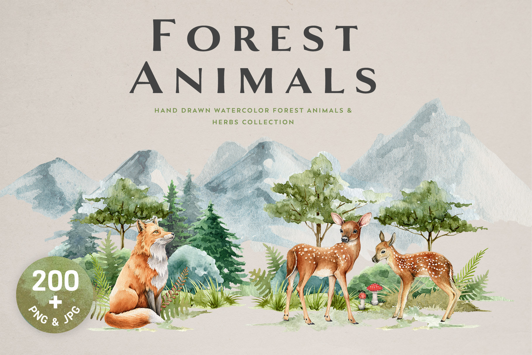 Forest Animals and Herbs Watercolor transparent PNG set