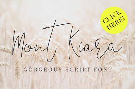 La Fontaine Brush Font, a Script Font by Renata Chizhikova
