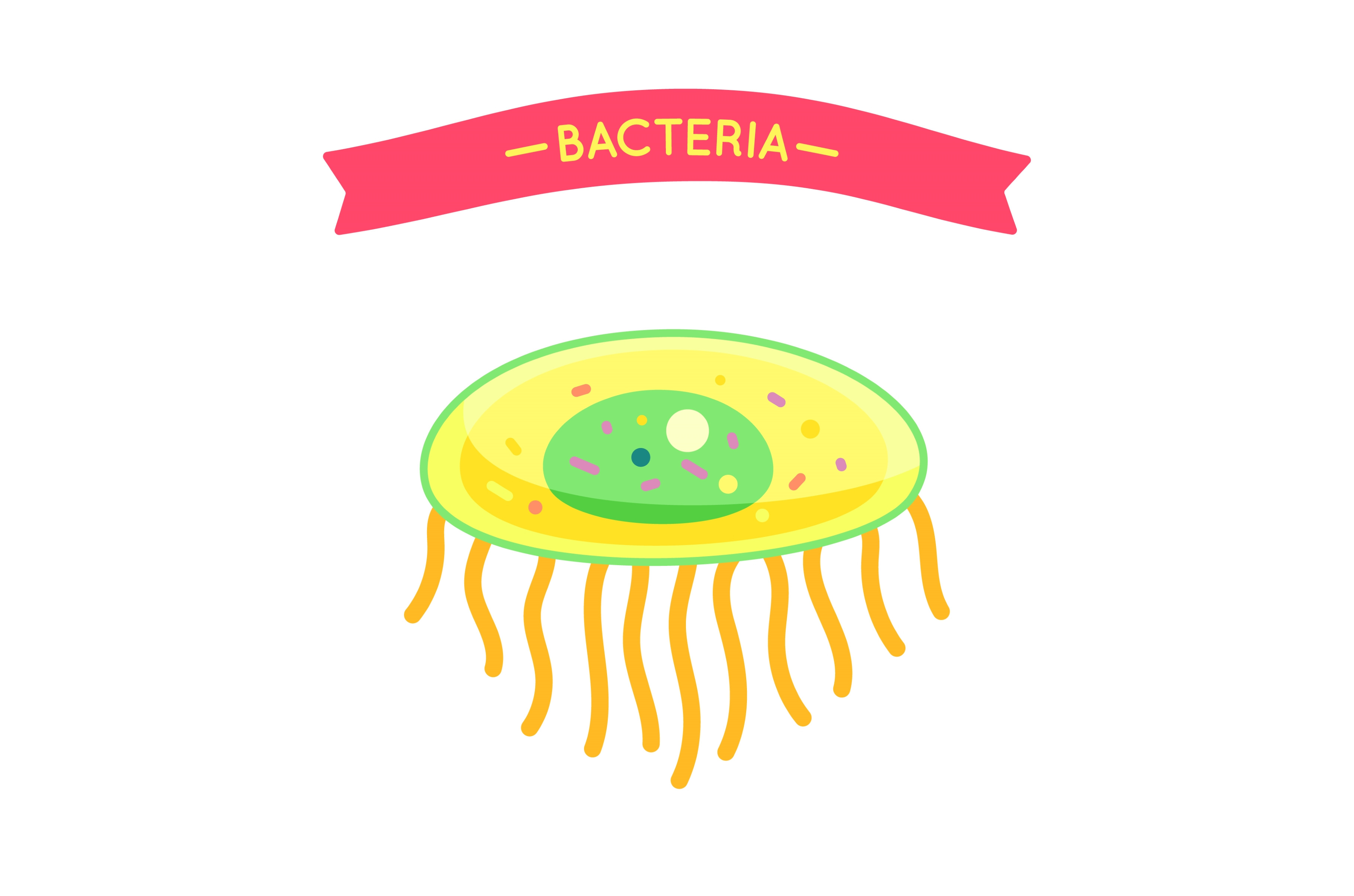 Bacteria Poster with Cell Vector, an Object Graphic by robuart ...