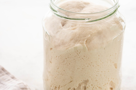 Natural leaven for bread in a glass featuring leaven, bread, and ...