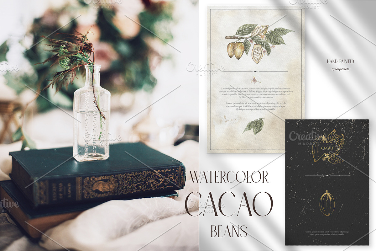 Watercolor Cacao Beans, an Illustration by MayaNavits