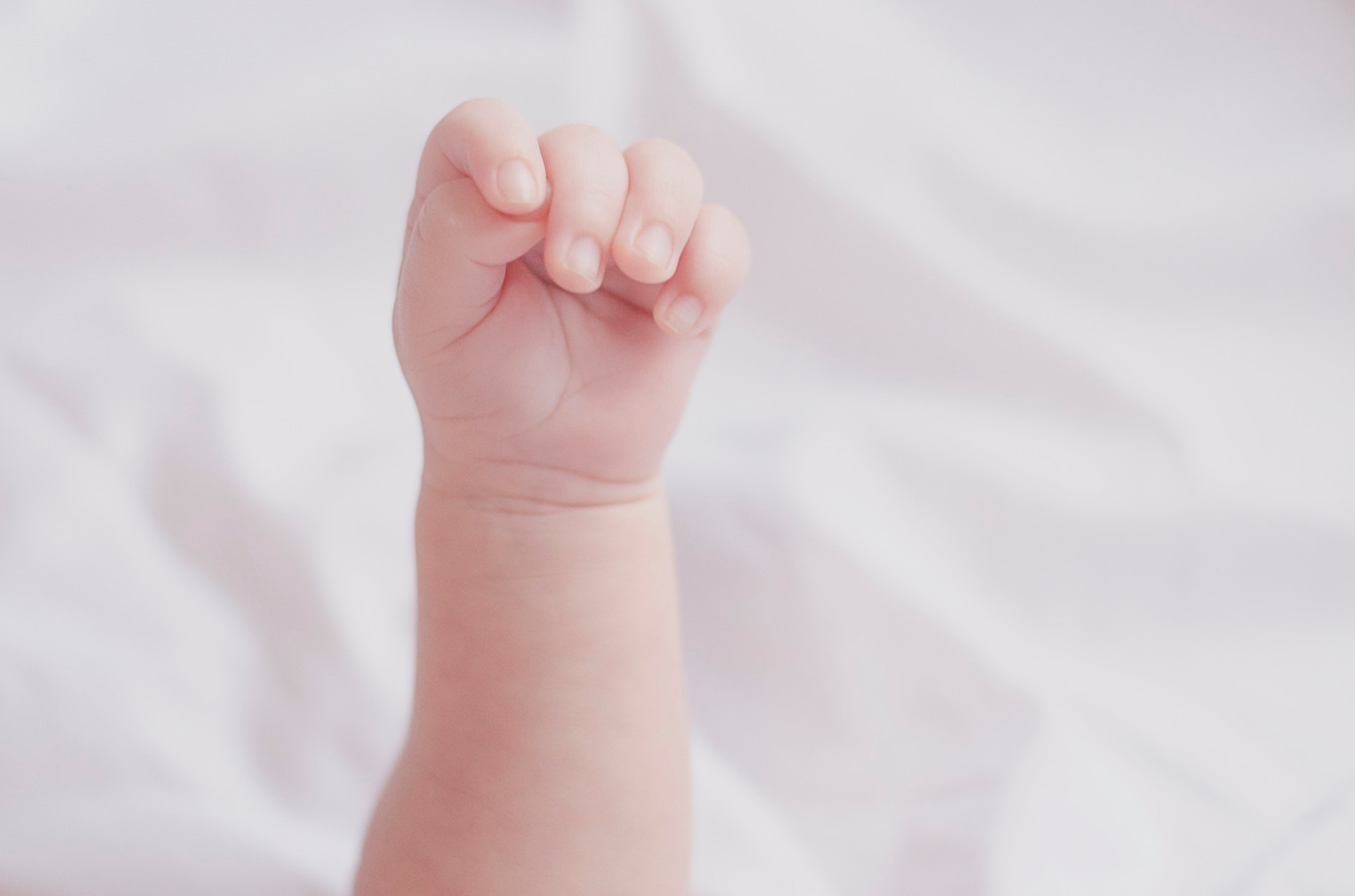 Newborn baby hand featuring baby, newborn, and hand, a Person Photo by ...