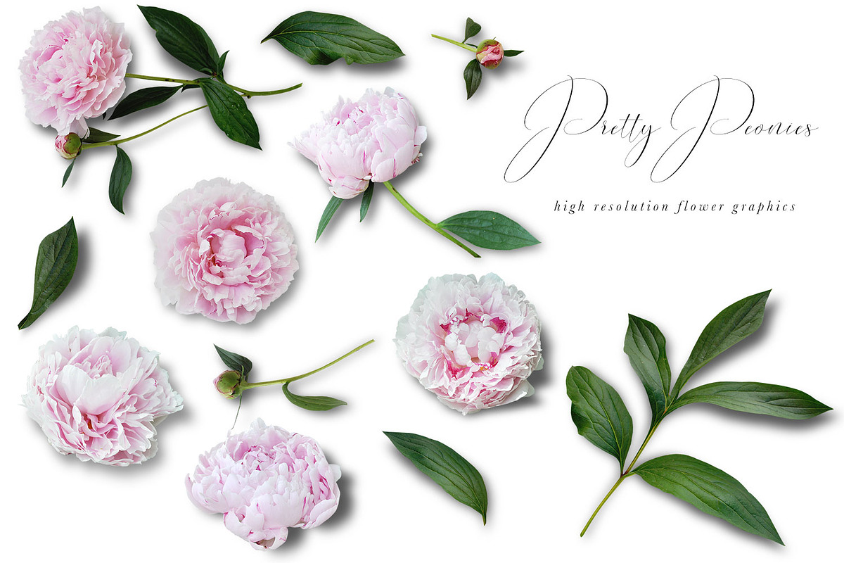 Flower Power Mega Bundle Vol 2, an Illustration by Eclectic Anthology