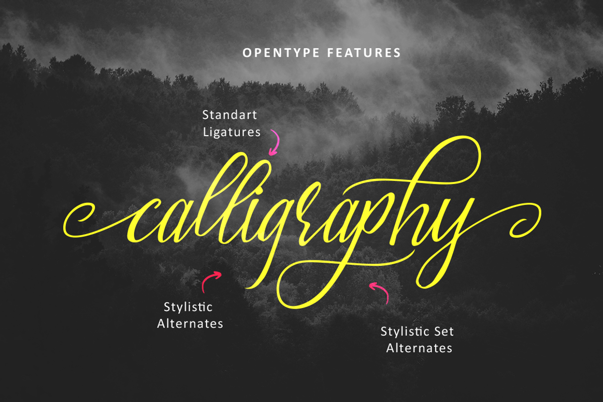 Brightside Typeface, a Script Font by QueenType