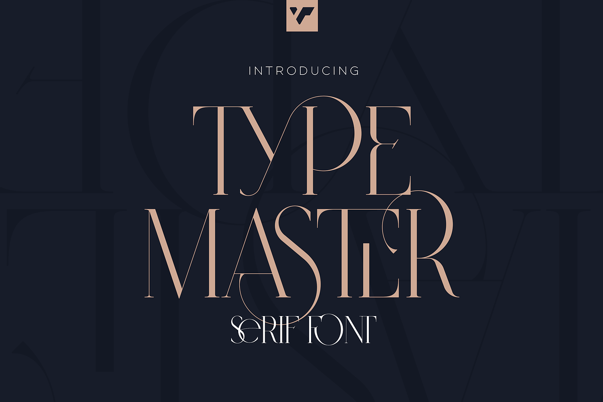 Type Master - ligature serif font