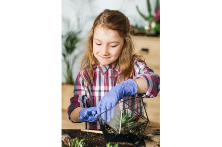 diy florarium home gardening class, a Sports & Recreation Photo by ...