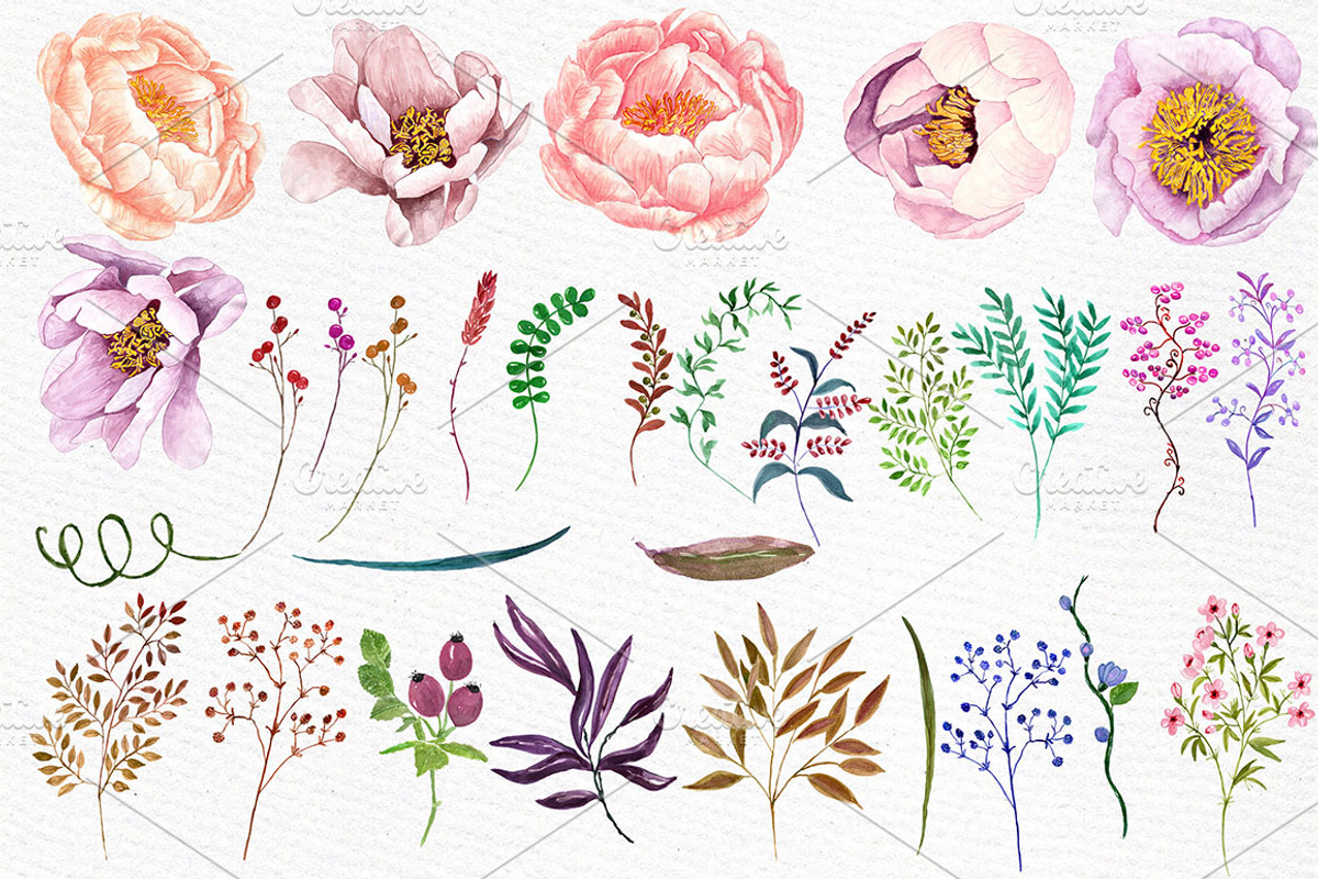 Watercolor peonies flowers clipart, an Illustration by LeCoqDesign