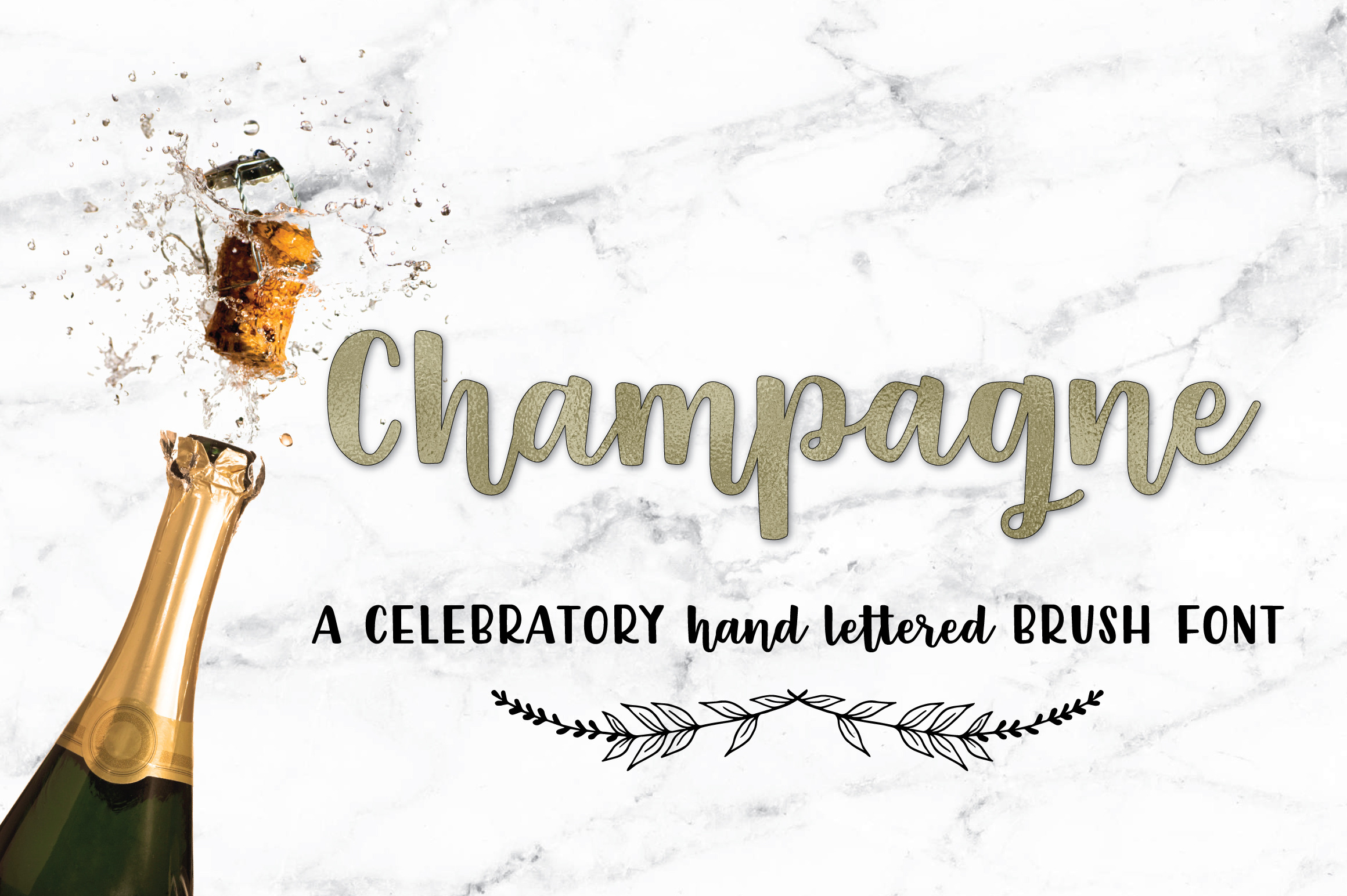 Champagne Script Handlettered Font, a Script Font by JacklynDiane