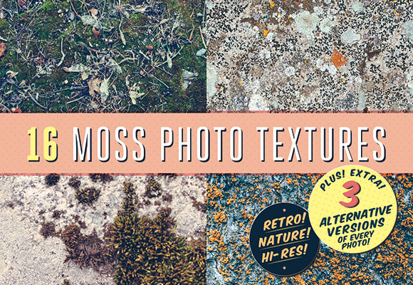 16 Moss Photo Textures, a Texture Graphic by MarkieAnn Creative