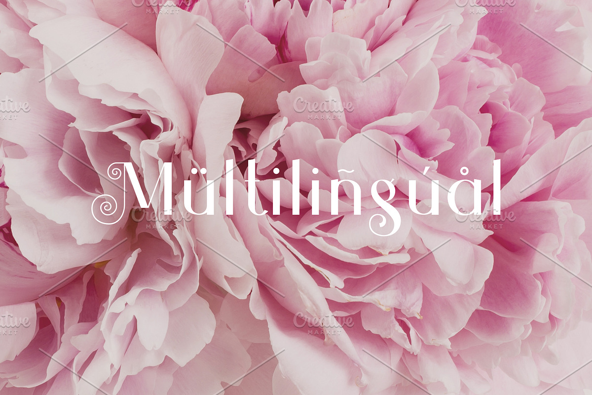 Dolores Elegant Font, a Sans Serif Font by Harry Kasyanov