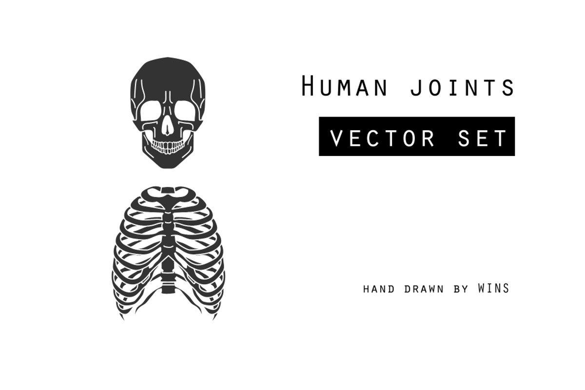 Human joints vector set, an Illustration by WINS Doodle shop