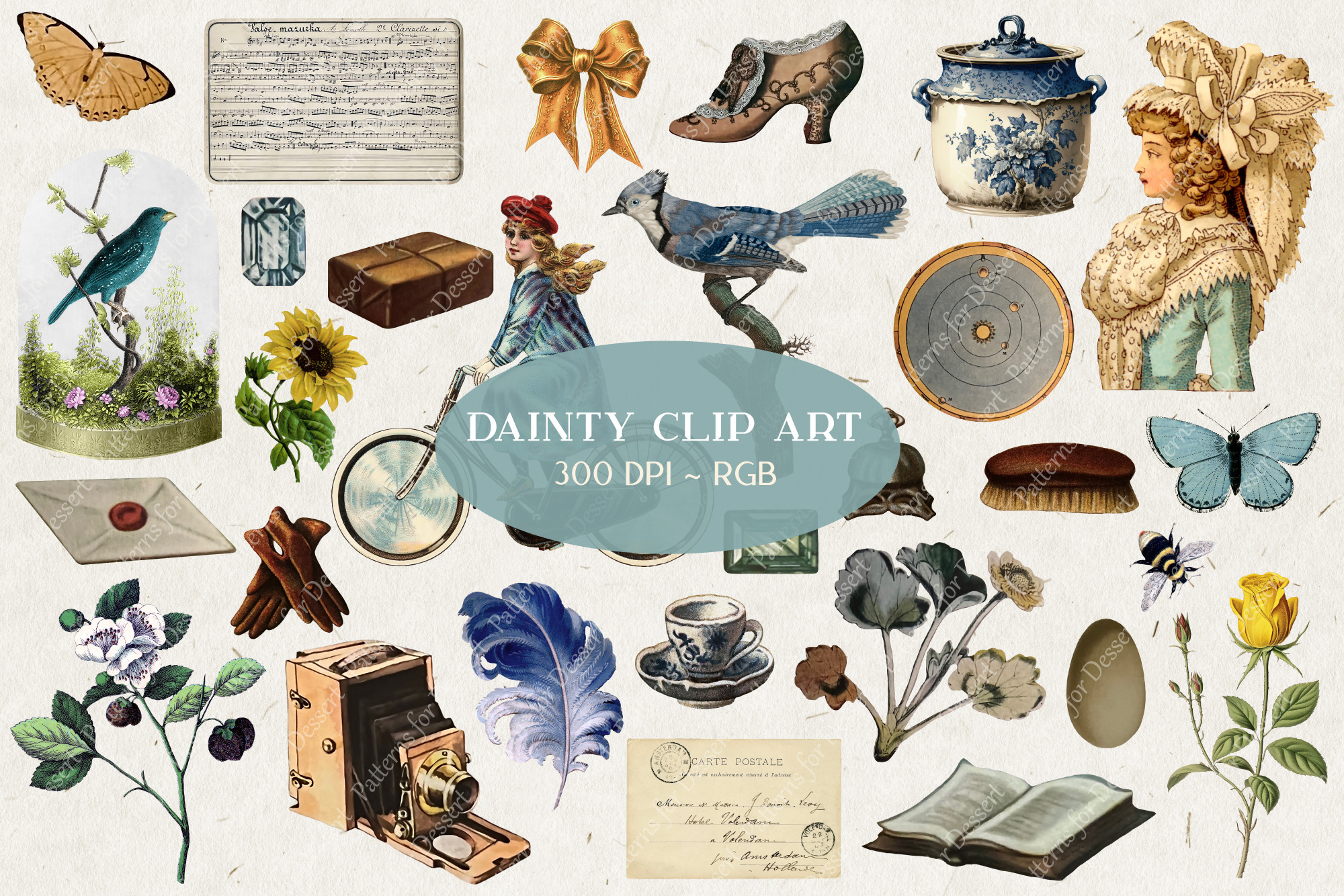 Vintage Dainty Clip Art Collection, an Object Illustration by Patterns ...