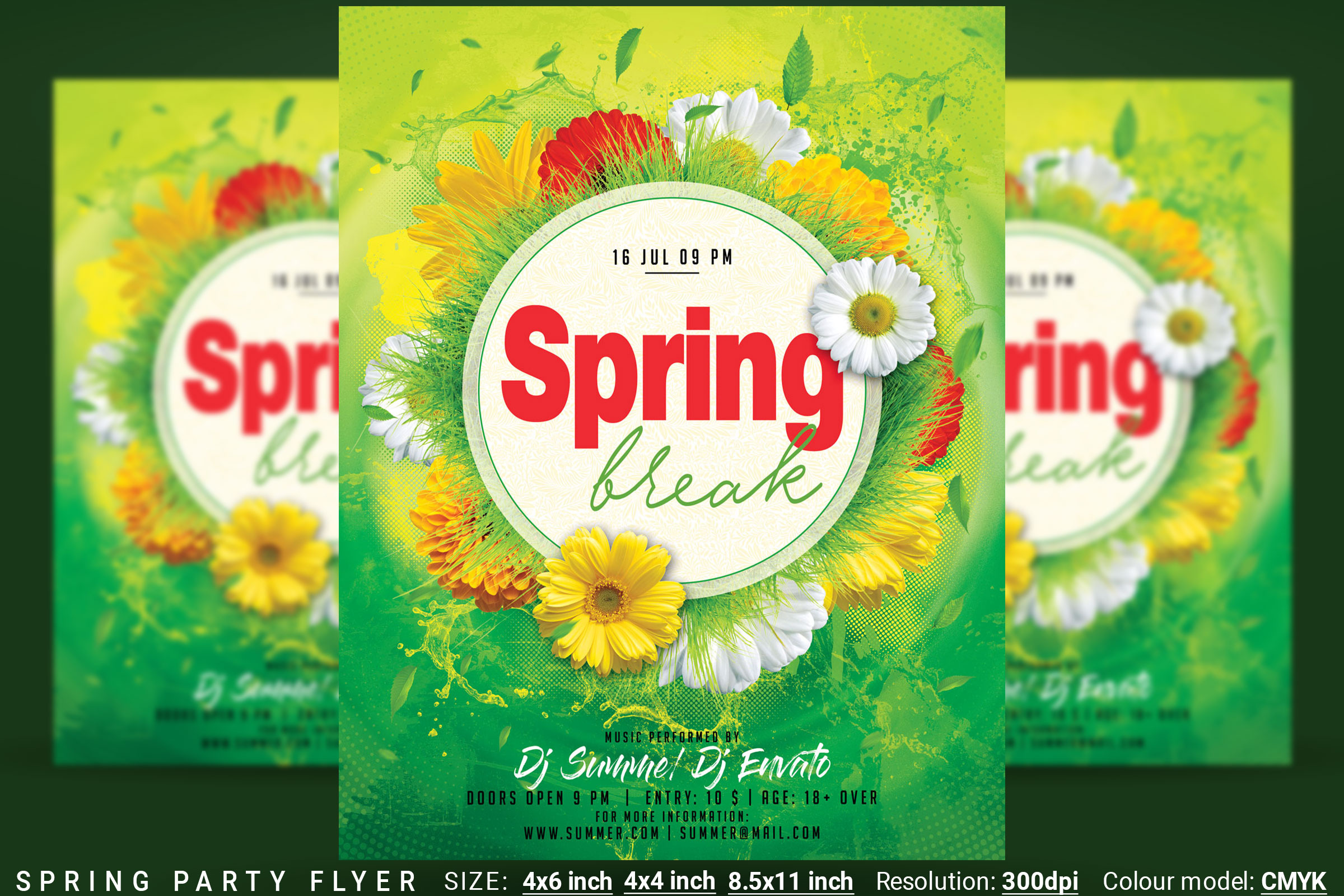 Spring Festival Party Flyer, a Flyer Template by Artolus