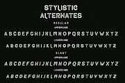 VT Contender - Vintage Display Font, a Sans Serif Font by ViactionType