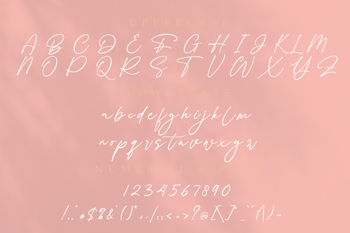 Cathyperry - Handwritten Font, a Handwritten Font by Mayofont