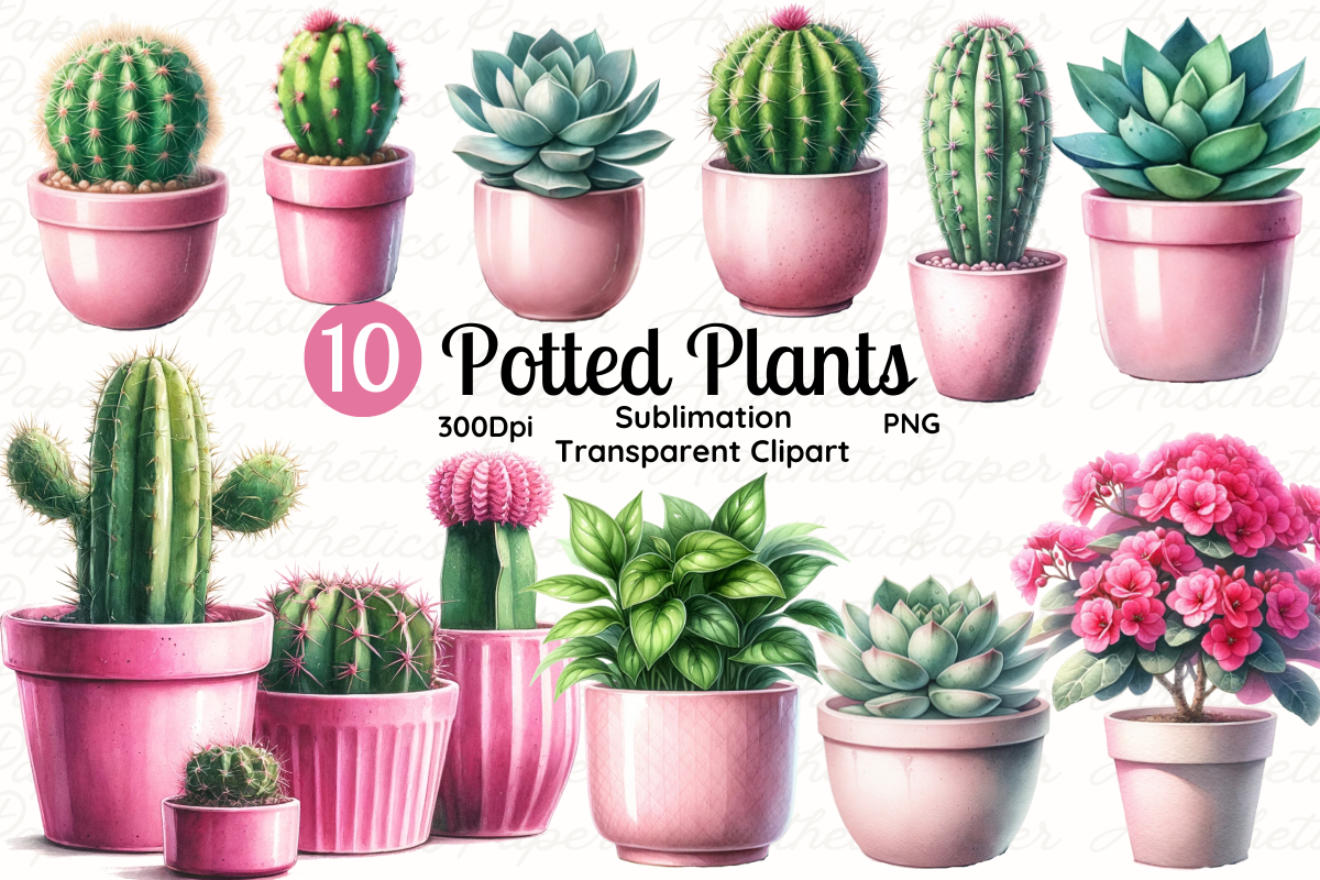 Potted Plant, Cactus and Succulents, a Decorative Illustration by Paper ...