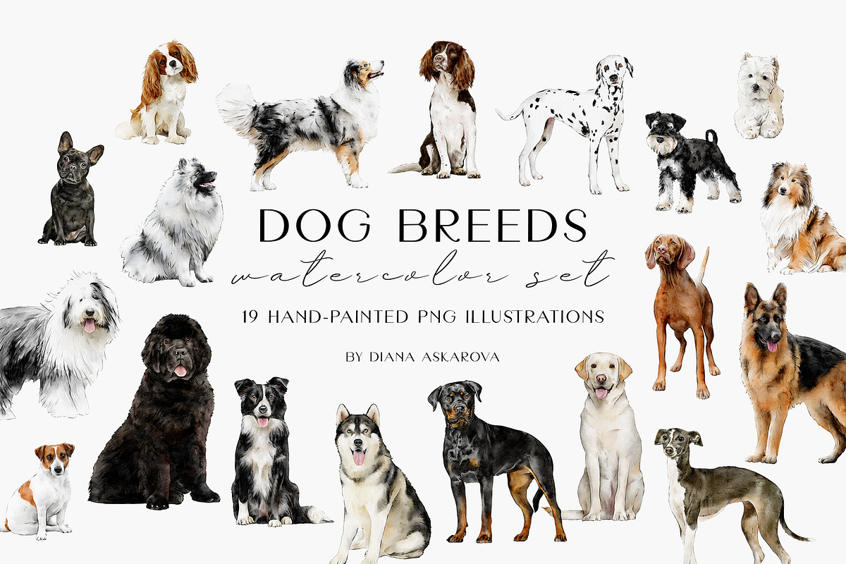Dog breed clipart illustration set