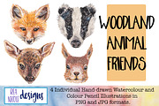 Woodland Animal Friends Clip Art, an Animal Illustration by Rea Nicole ...