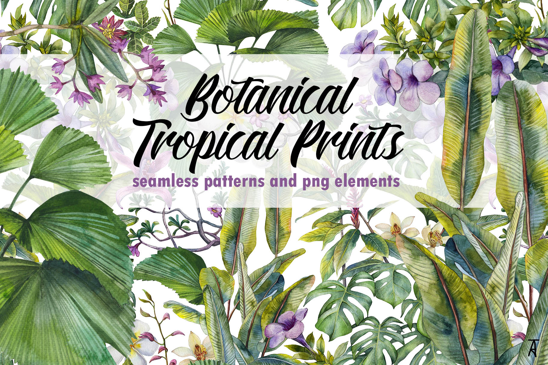 Botanical Tropical Patterns, a Pattern Graphic by emeraldthue