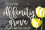 Affinity Grove Script, a Script Font by Affinity Grove