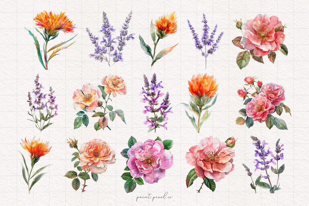 Autumn Flowers Clip art, a Decorative Illustration by PaintPixelCo