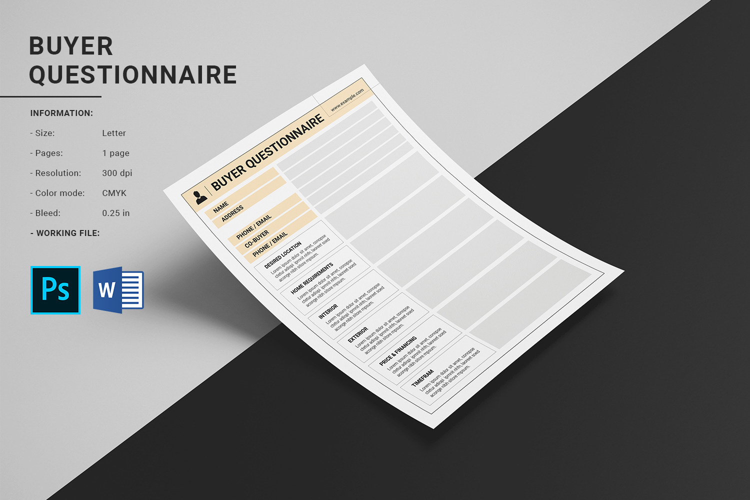 Buyer Questionnaire, a Flyer Template by crazyOWL