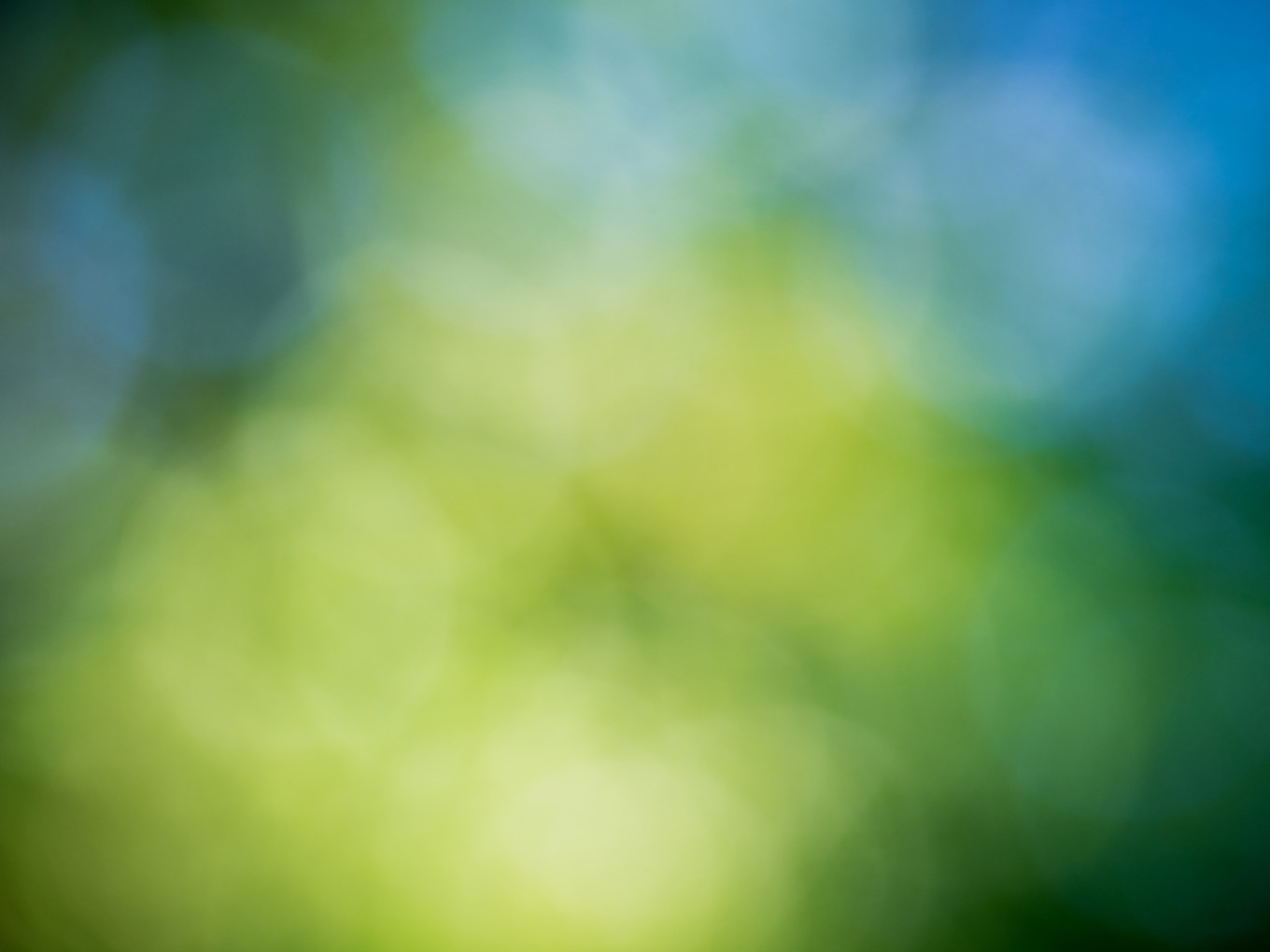 green and blue forest background, an Abstract Photo by Shootdiem