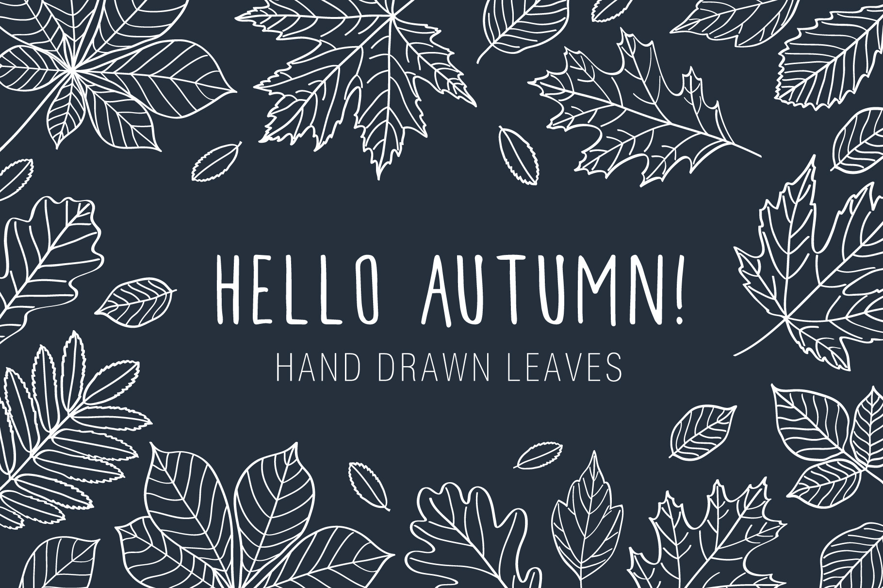 Hand drawn leaves of different trees, a Decorative Illustration by ...