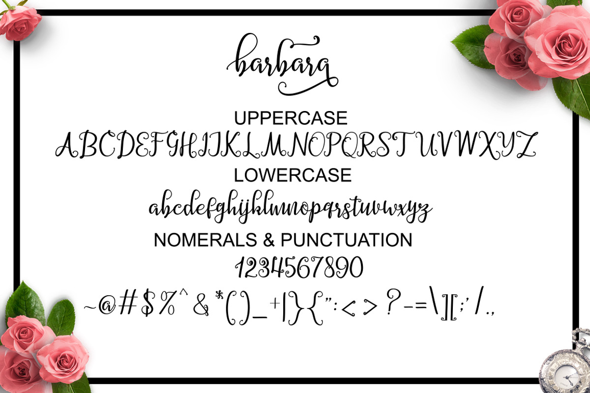 Barbara Script, a Script Font by MSG Studio