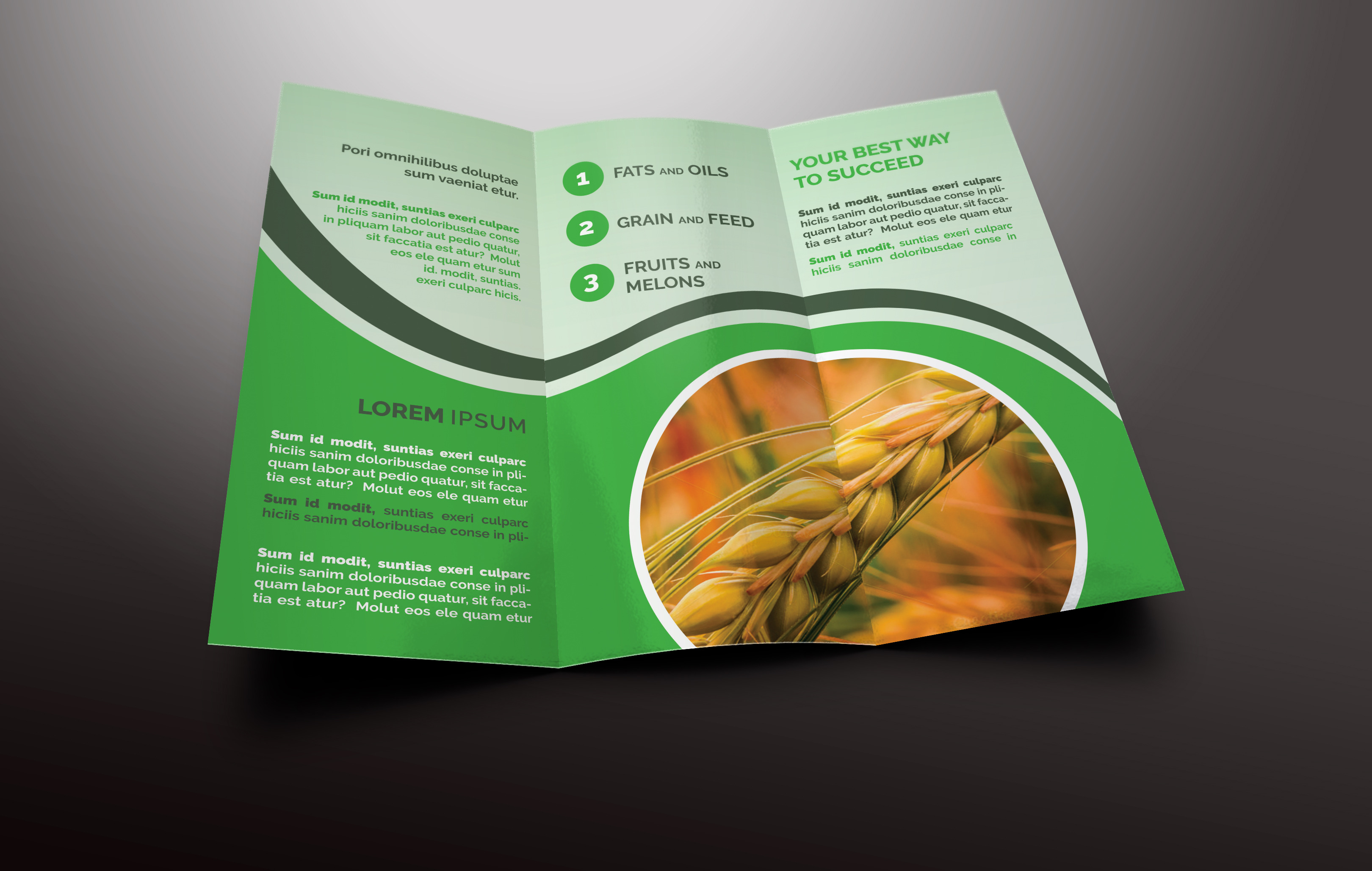 Agriculture Tri-fold Brochures, a Templates & Theme by Creatricks
