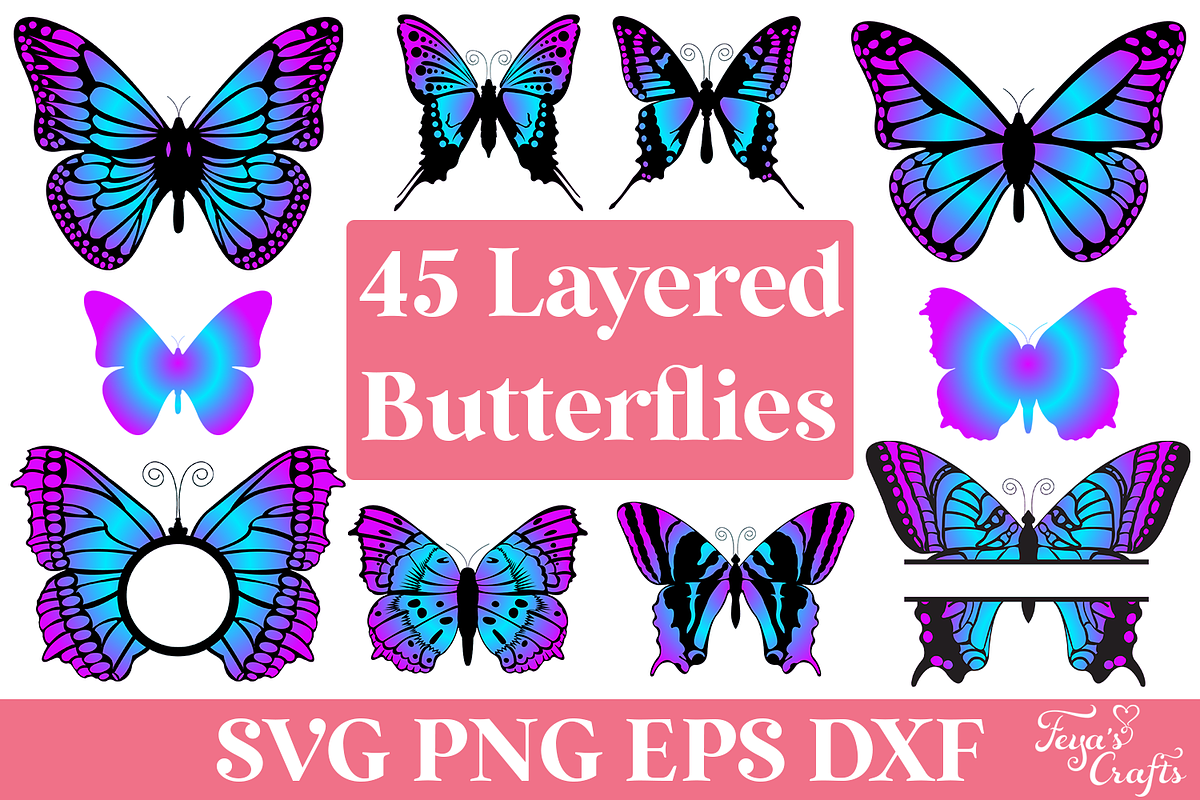 Layered Butterfly Bundle