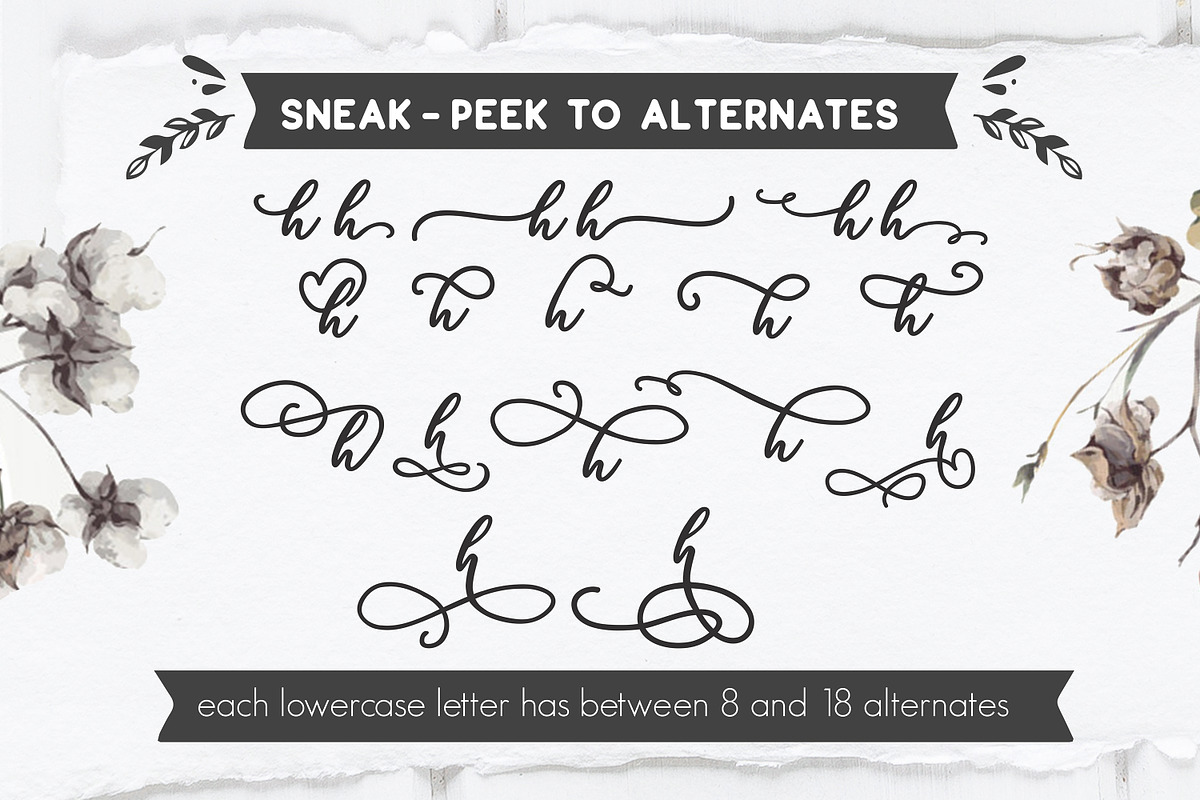 Biosha Font trio and extras, a Script Font by BlackCatsMedia | Creative Market