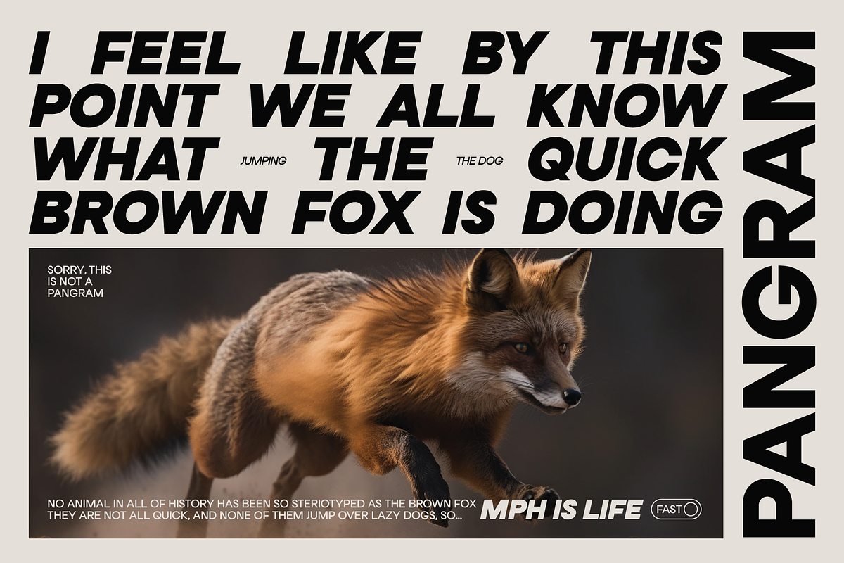 Franie Geometric Sans Family, a Font by That That Creative