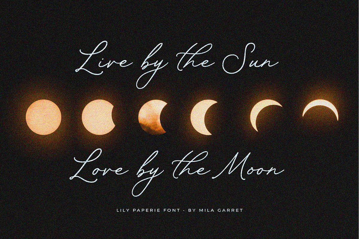 Lily Paperie Signature Logo Script, a Script Font by Mila Garret