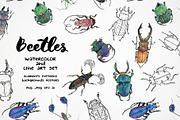 Watercolor bug clipart, insect set, an Animal Illustration by ...