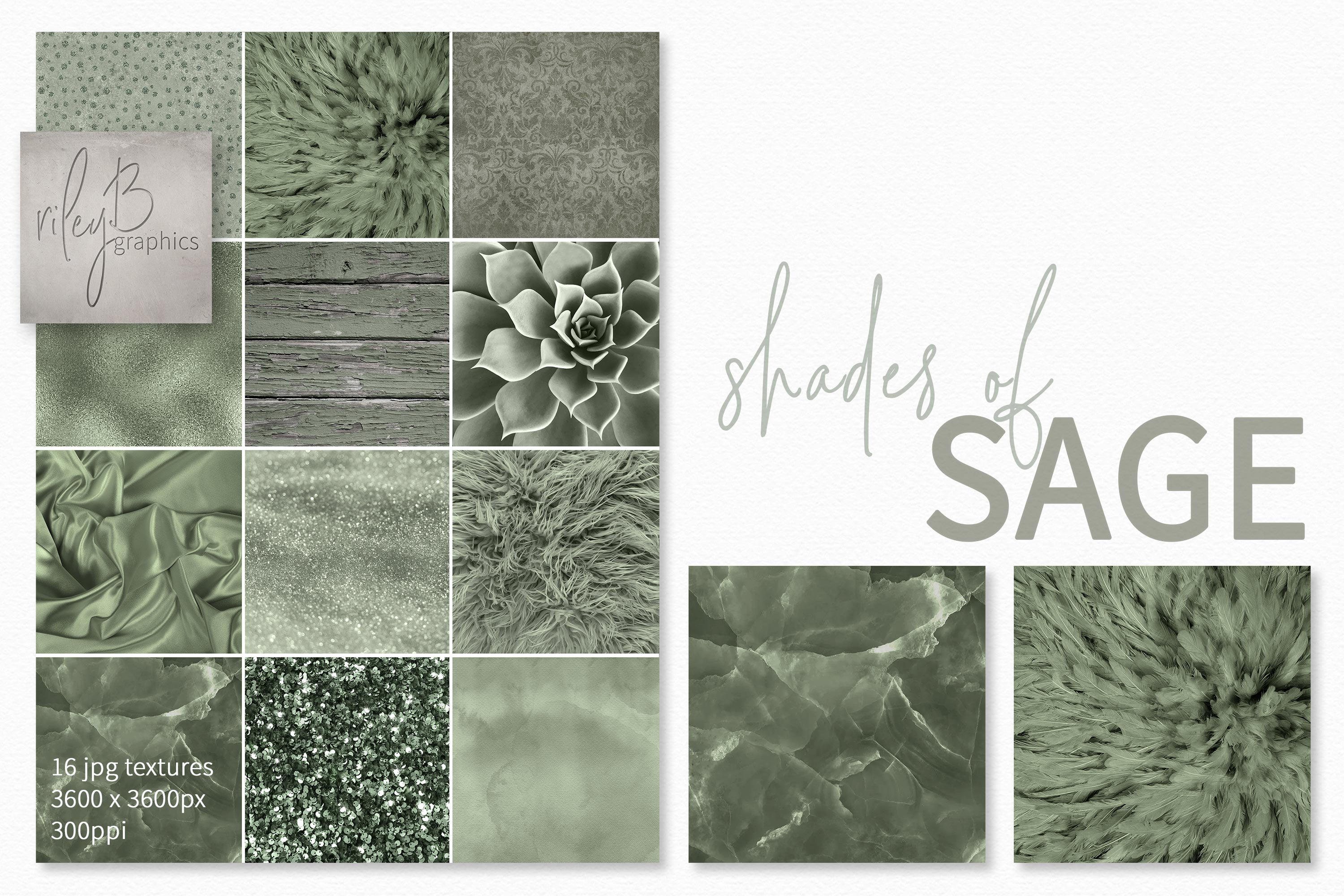 Shades of Sage Textures, a Texture Graphic by rileyBgraphics