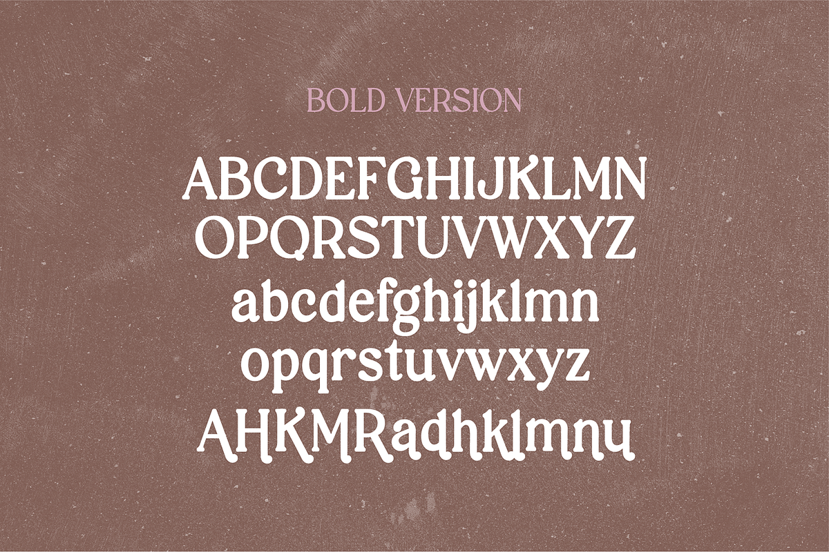 VINTAGE CHAMPAGNE Modern Serif Font, a Serif Font by Blush Font Co.