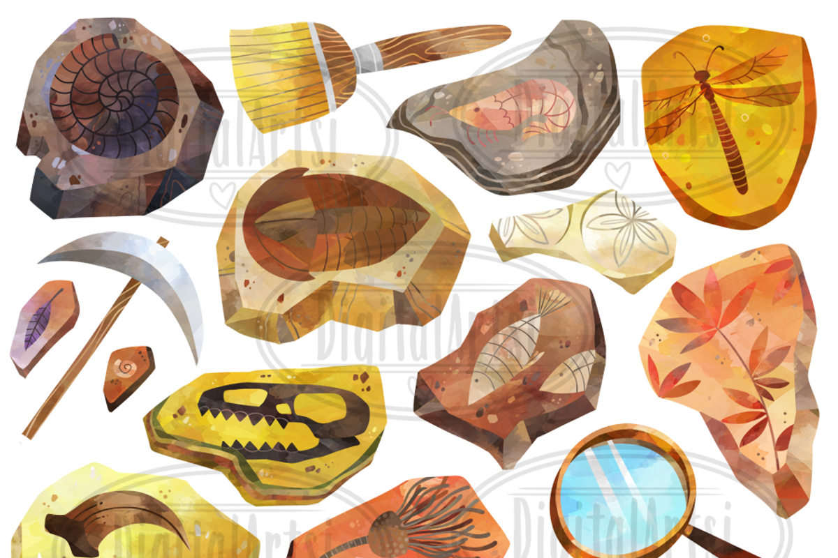 Watercolor Fossils Clipart, an Education Illustration by DigitalArtsi