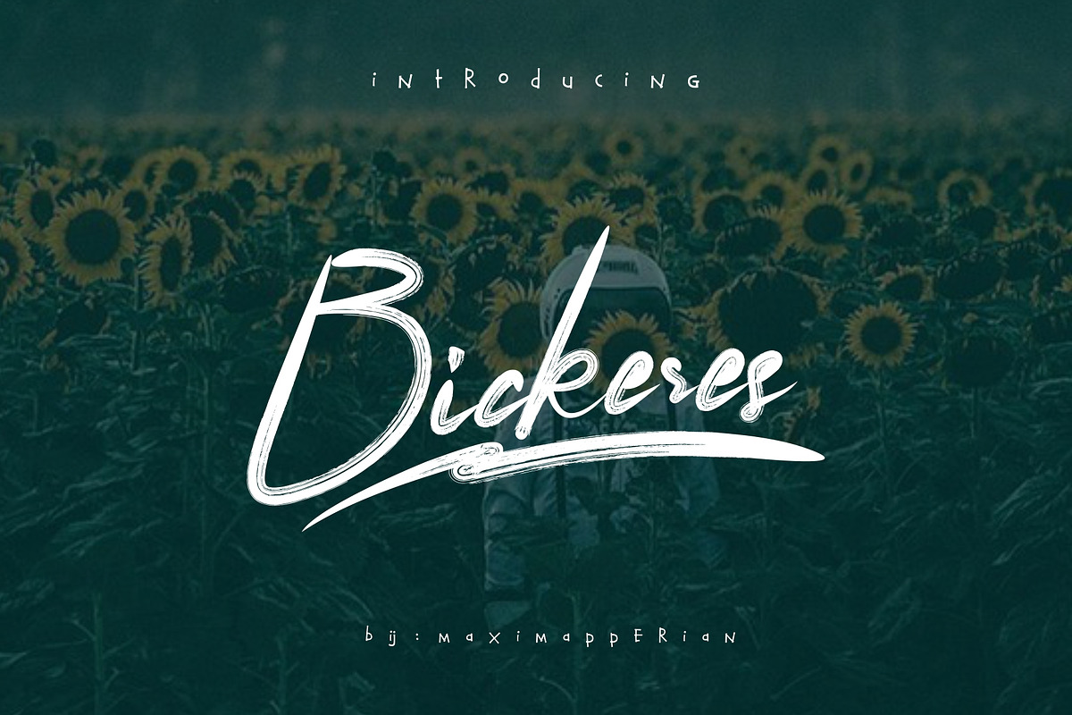 Bickeres Brush Font, a Script Font by Maxim apperian | Creative Market