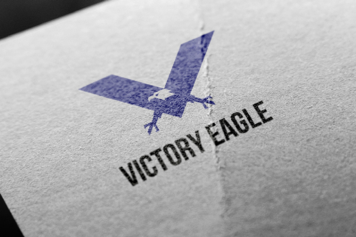 V - Eagle Hawk Bird Logo, a Branding & Logo Template by jongcreative