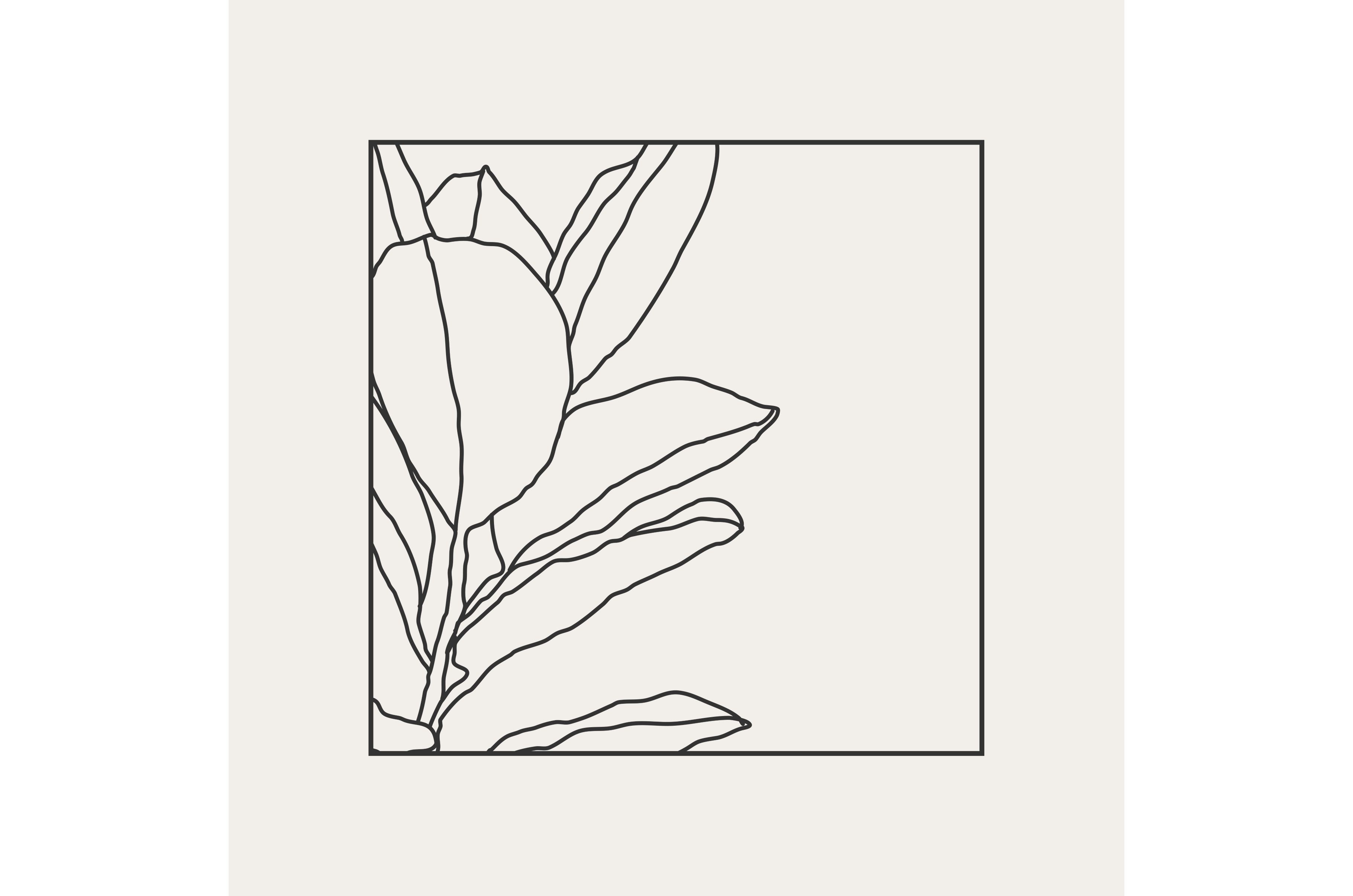 Minimalist botanical line art, a Decorative Illustration by C Design ...