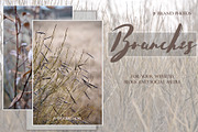 Branches - Stock Photos | Website & App Templates ~ Creative Market