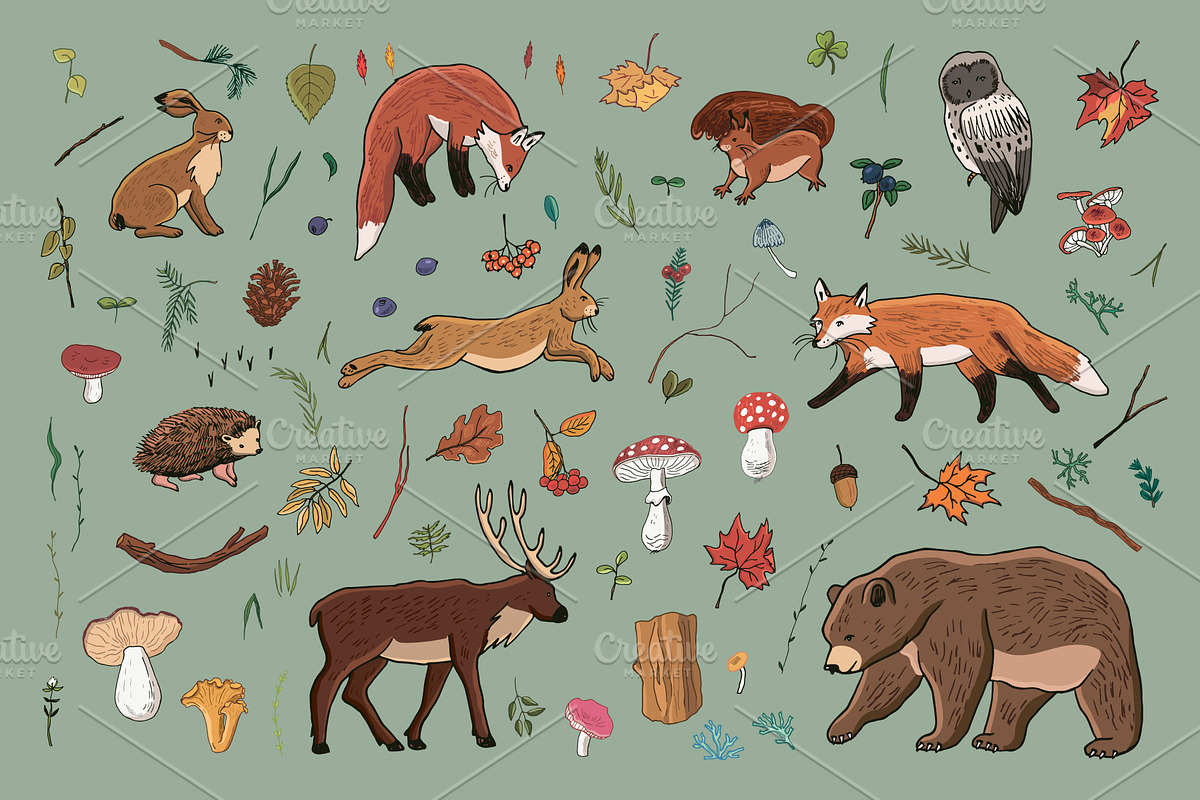 Autumn Forest Animals, an Animal Illustration by GooseFrol