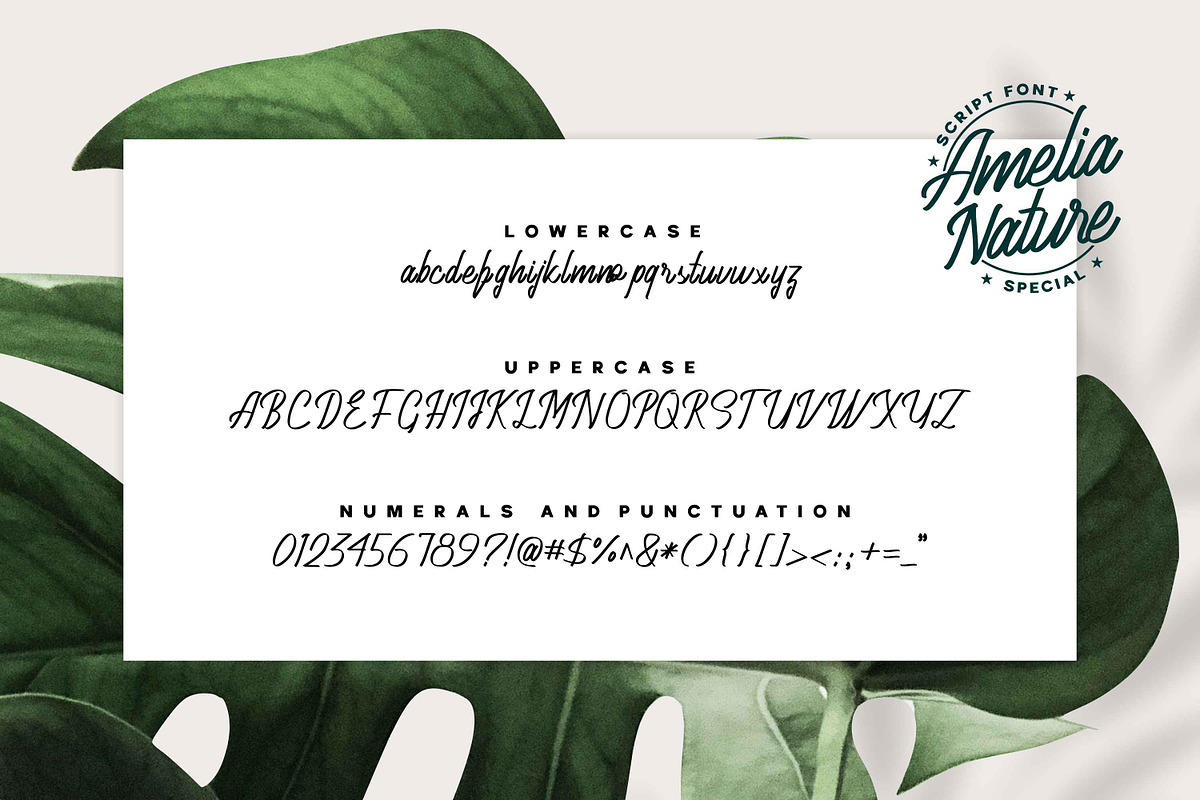 Amelia Nature - Script Typeface, a Script Font by Fype Co. | Creative Market