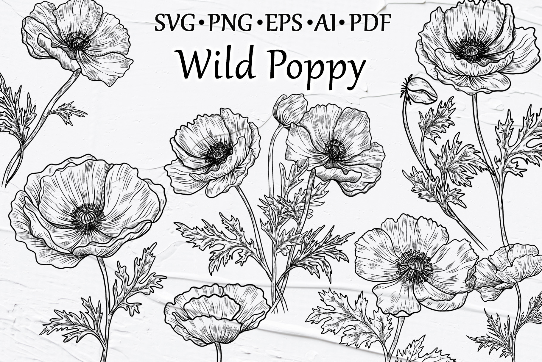 Wild Poppy line art clipart, an Outline Icon by BarvArt