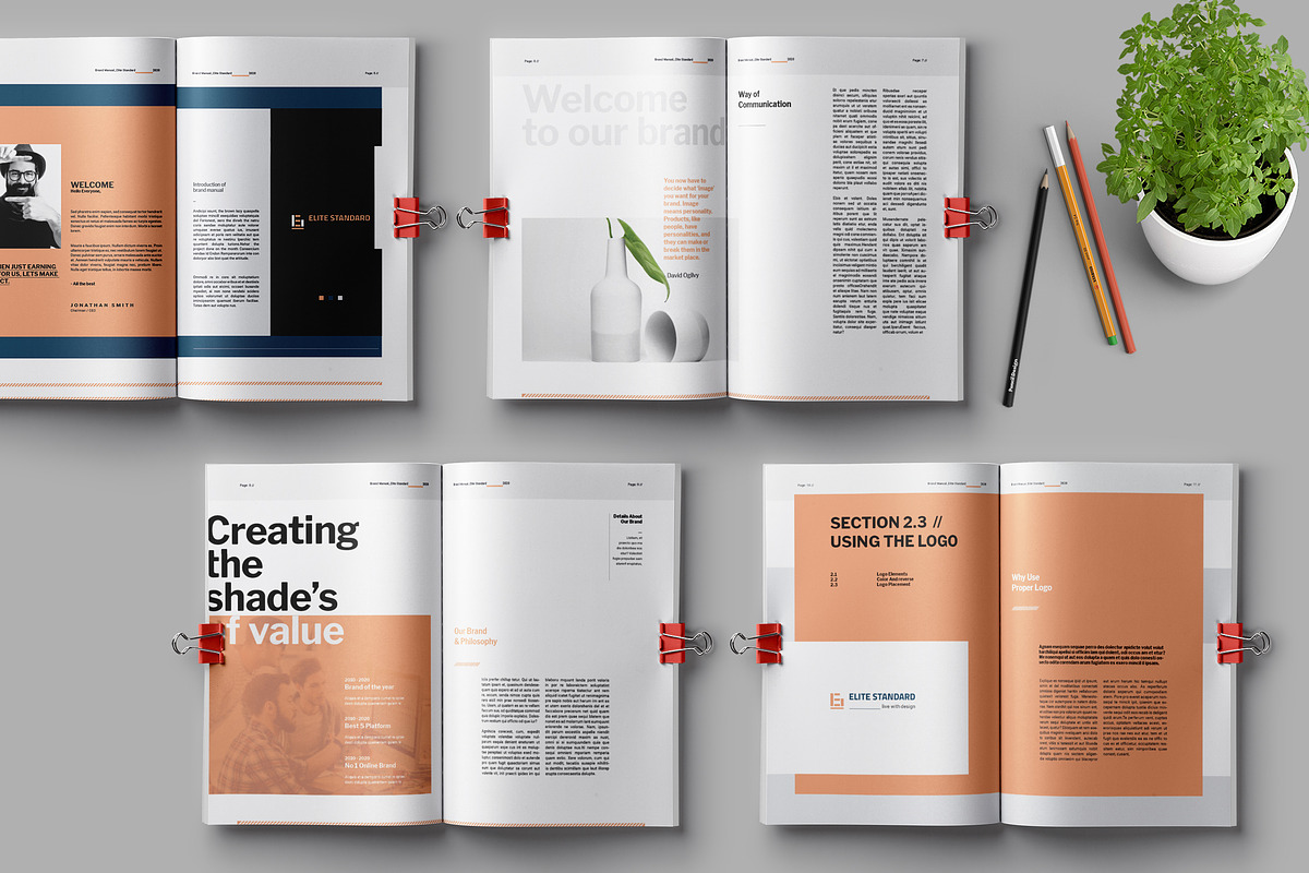 Brand Manual Template, a Brochure Template by Elite_Standard