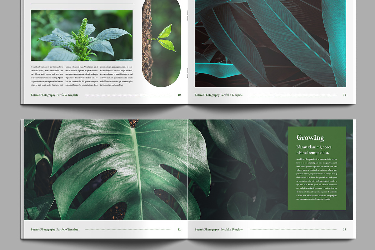 Botanic Magazine Layout | Creative Market
